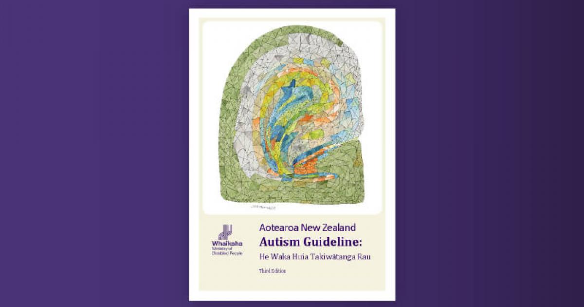 Aotearoa New Zealand Autism Guideline implementation, supports and ...